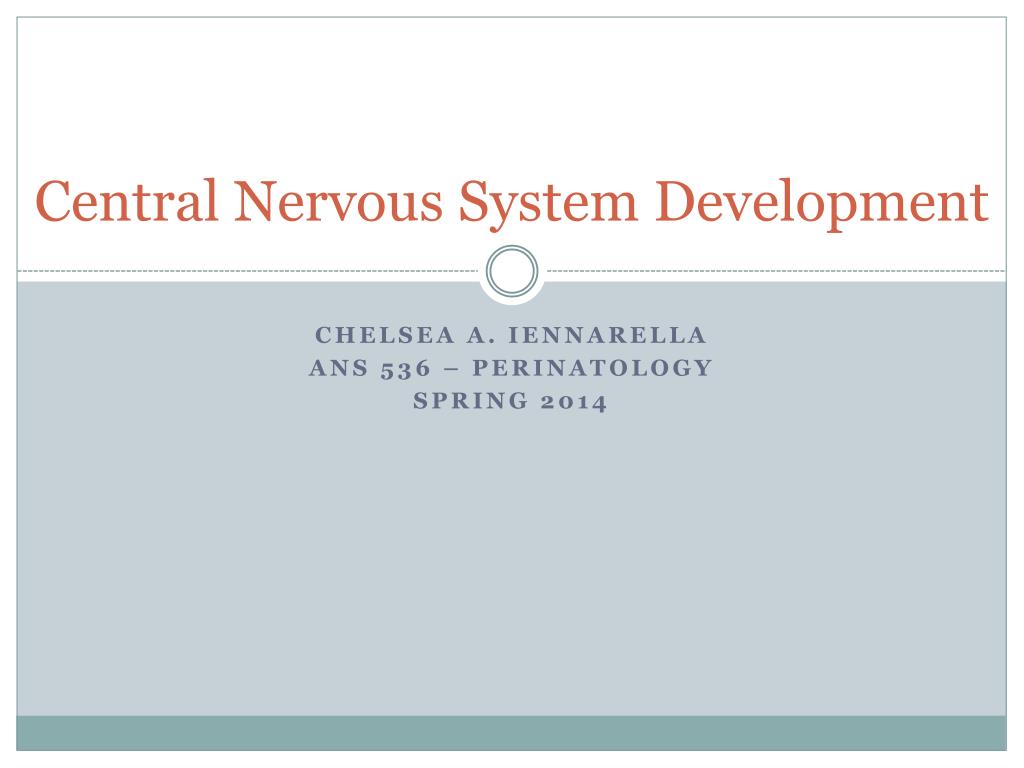 PPT - Central Nervous System Development PowerPoint Presentation, free ...