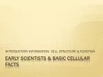PPT - BASIC CELLULAR SYSTEM PowerPoint Presentation, free download - ID ...