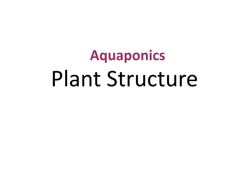 PPT - Plant Structure PowerPoint Presentation, free download - ID:2026308