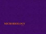 PPT - Aquatic Microbiology PowerPoint Presentation, free download - ID ...