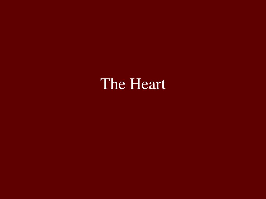 PPT - The Heart PowerPoint Presentation, free download - ID:2027077