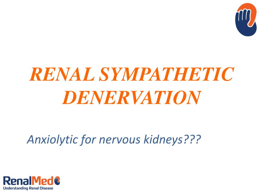 PPT - RENAL SYMPATHETIC DENERVATION PowerPoint Presentation, free ...