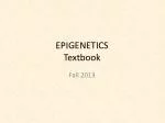PPT - Introduction to Epigenetics PowerPoint Presentation, free ...