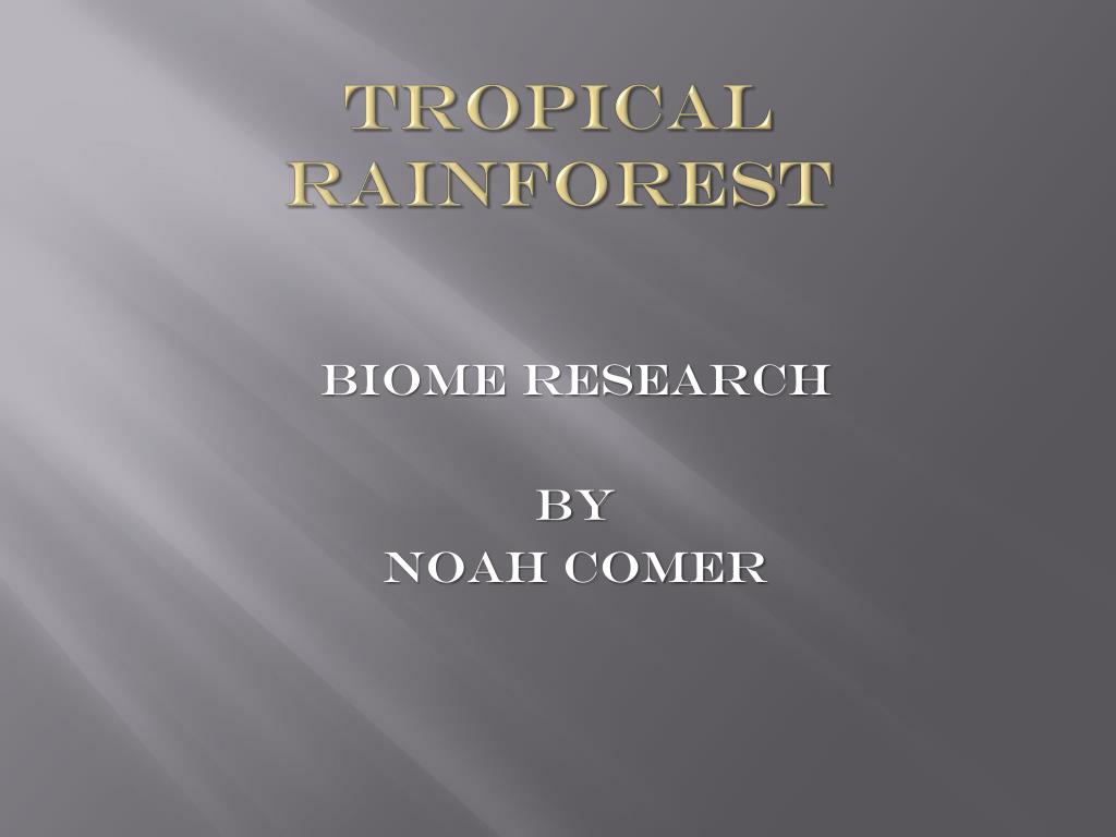 PPT - Tropical Rainforest PowerPoint Presentation, free download - ID ...