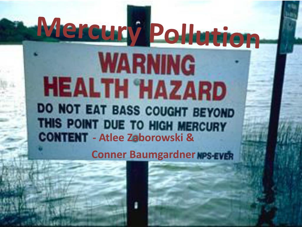 PPT - Mercury Pollution PowerPoint Presentation, free download - ID:2029748
