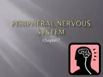 PPT - Peripheral Nervous System PowerPoint Presentation, free download ...