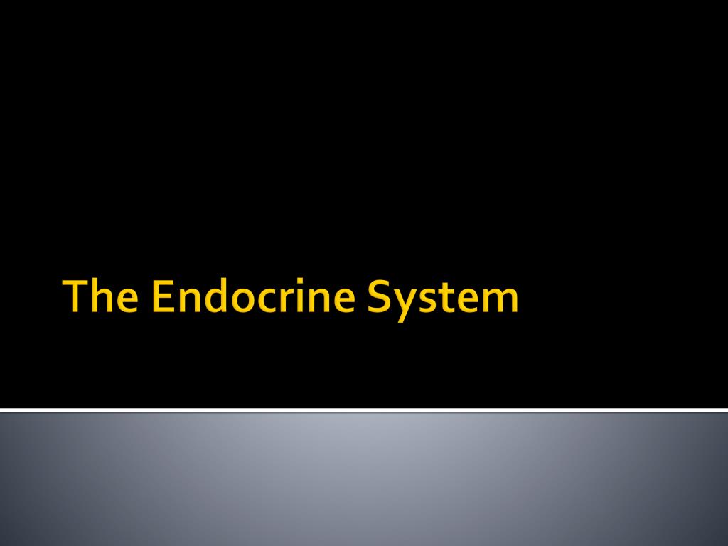 PPT - The Endocrine System PowerPoint Presentation, free download - ID ...