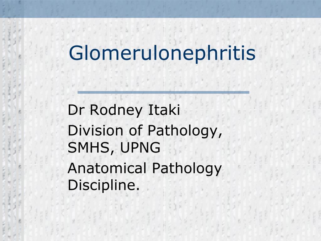 PPT - Glomerulonephritis PowerPoint Presentation, free download - ID:2030726