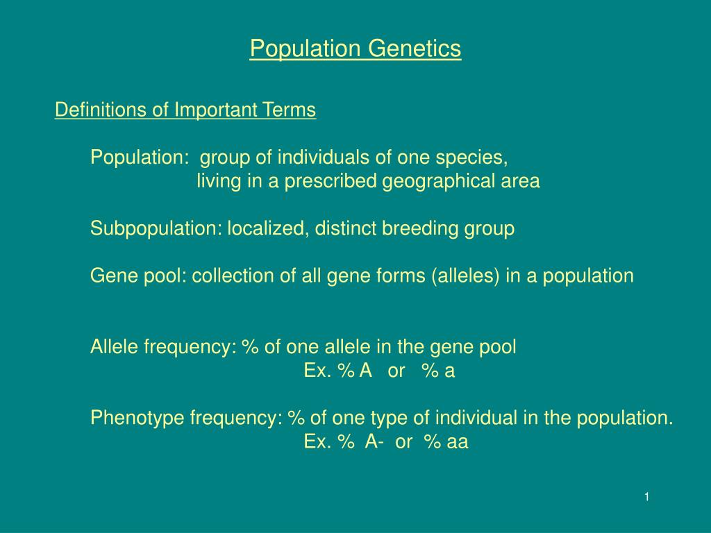 PPT - Population Genetics PowerPoint Presentation, free download - ID ...