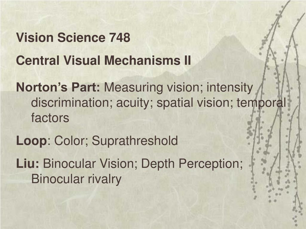 PPT - Vision Science 748 Central Visual Mechanisms II PowerPoint ...