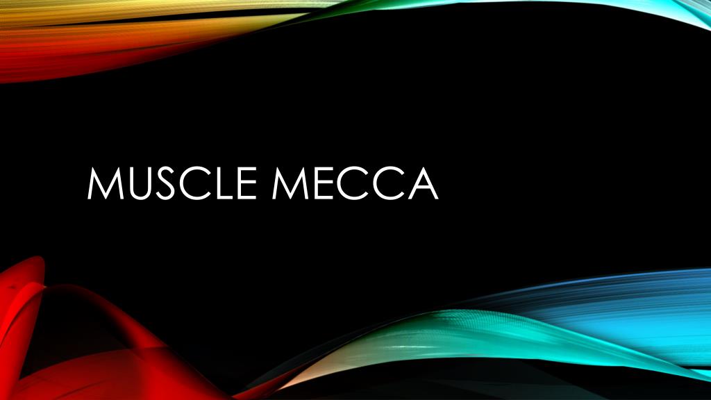 PPT - Muscle Mecca PowerPoint Presentation, free download - ID:2033195