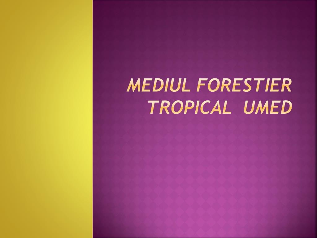 PPT - Mediul forestier tropical umed PowerPoint Presentation, free ...