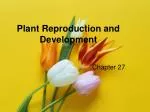 PPT - Plant Reproduction and Development PowerPoint Presentation, free ...