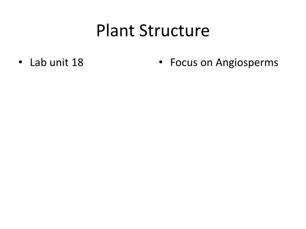 PPT - Plant Structure PowerPoint Presentation, free download - ID:2034108