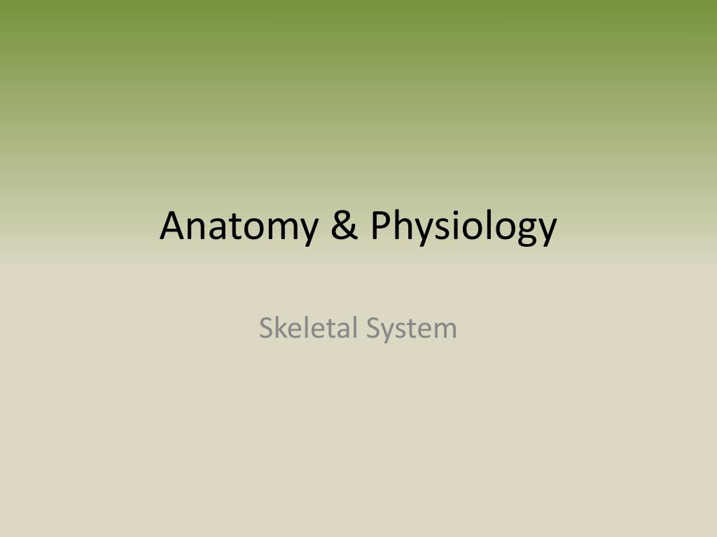 PPT - Anatomy & Physiology PowerPoint Presentation, free download - ID ...