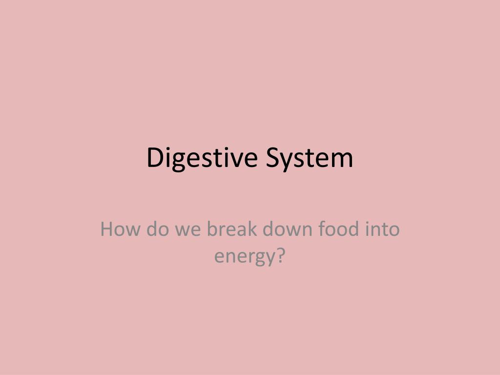 PPT - Digestive System PowerPoint Presentation, free download - ID:2034218