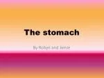 PPT - CARCINOMA STOMACH PowerPoint Presentation, free download - ID:1838378