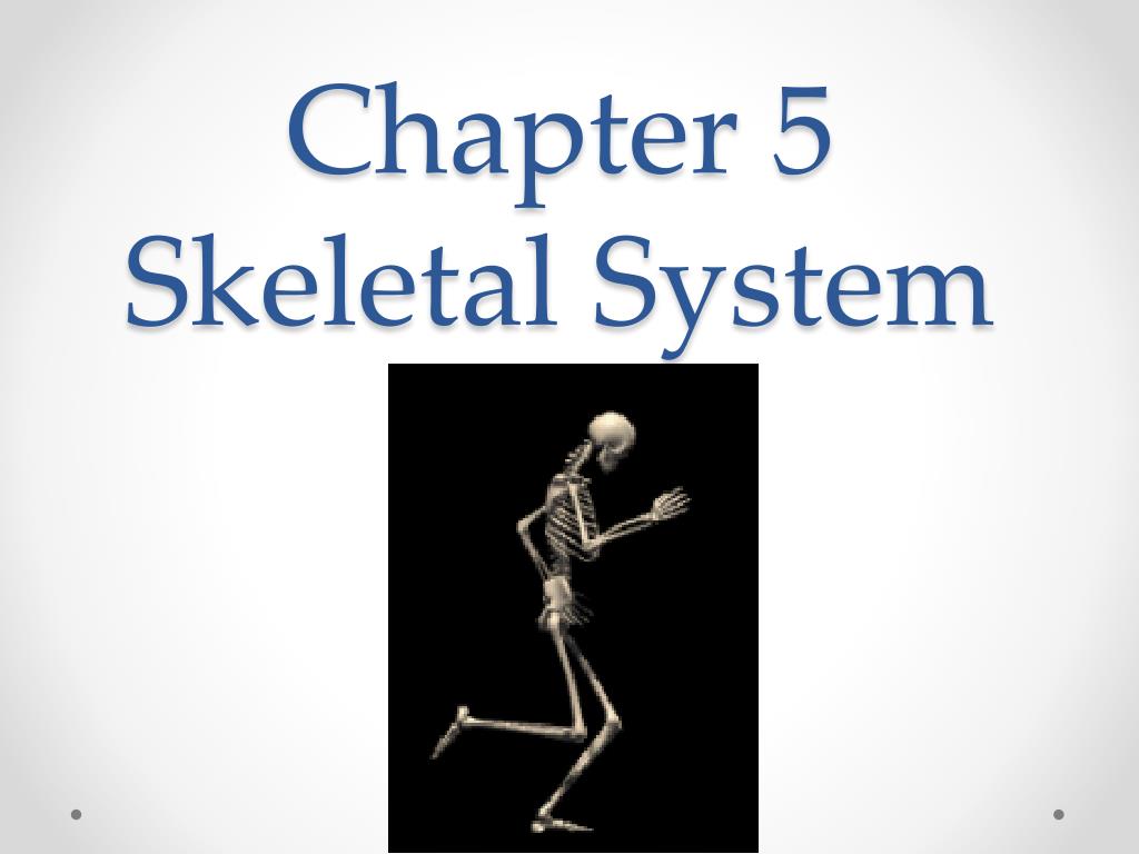 PPT - Chapter 5 Skeletal System PowerPoint Presentation, free download ...