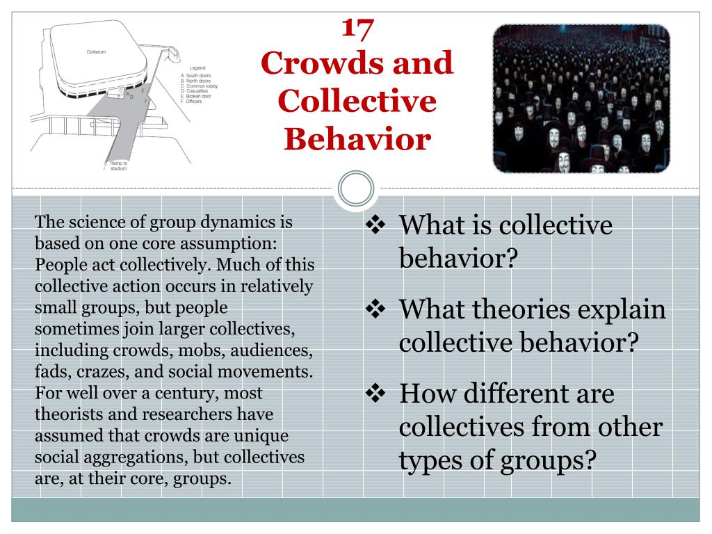PPT - 17 Crowds and Collective Behavior PowerPoint Presentation, free ...