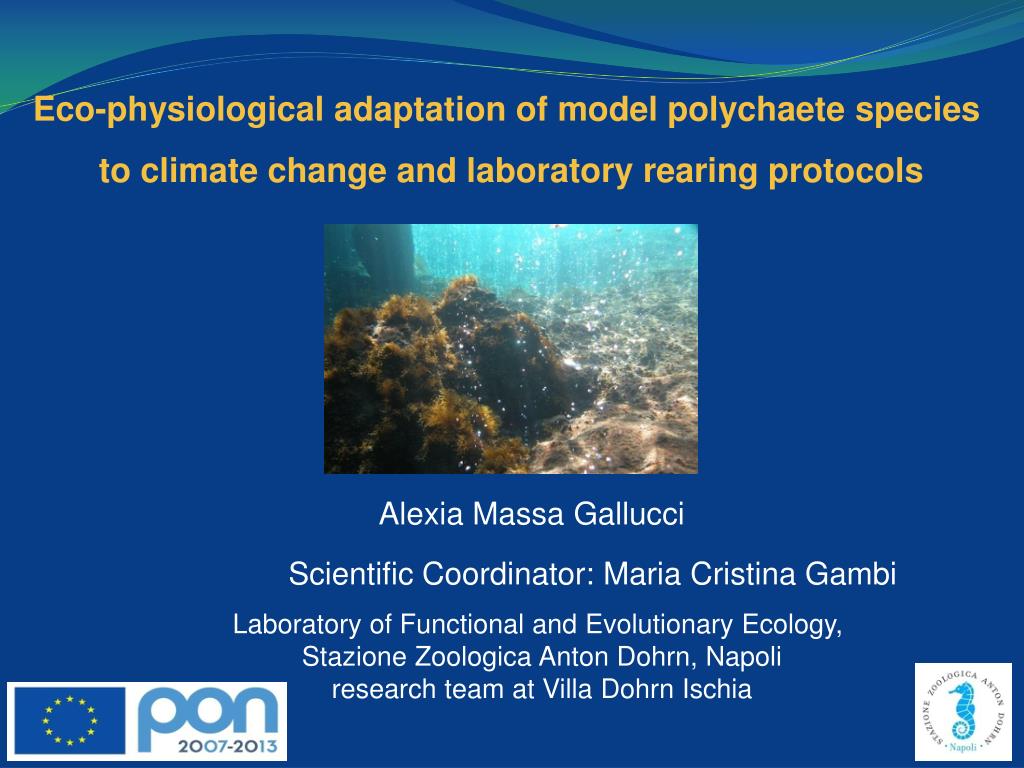 PPT - Eco-physiological adaptation of model polychaete species ...