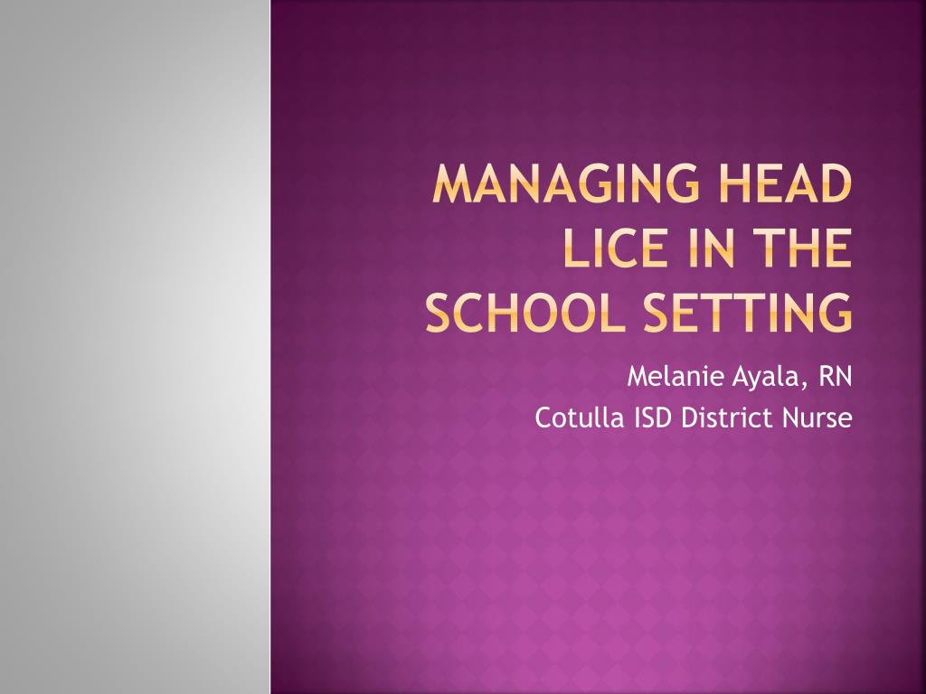 PPT - Managing head lice in the school setting PowerPoint Presentation ...