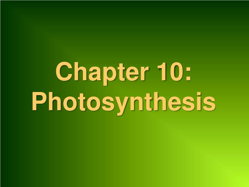 PPT - Chapter 10: Photosynthesis PowerPoint Presentation, free download ...