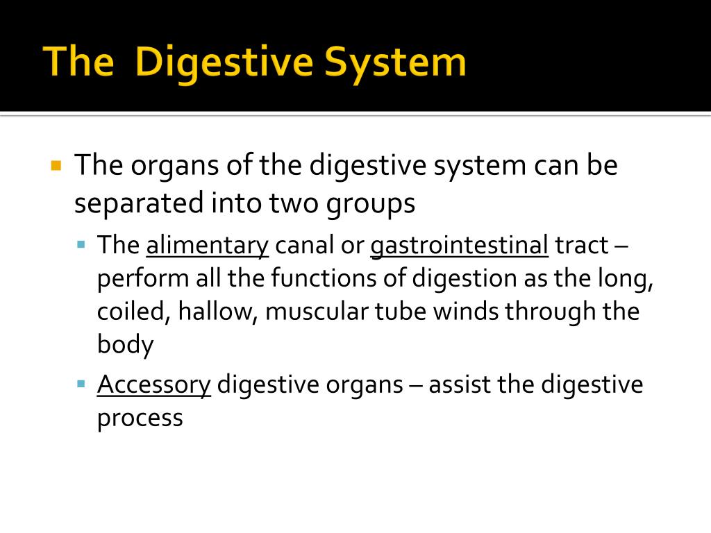 PPT - The Digestive System PowerPoint Presentation, free download - ID ...