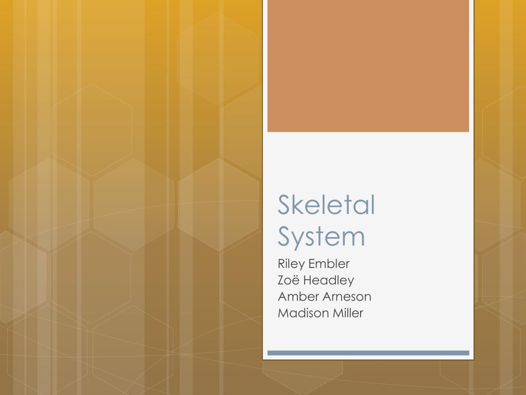 PPT - Comprehensive Guide to the Human Skeletal System PowerPoint ...