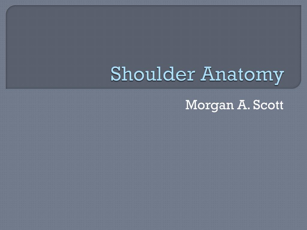 PPT - Shoulder Anatomy PowerPoint Presentation, free download - ID:2038249