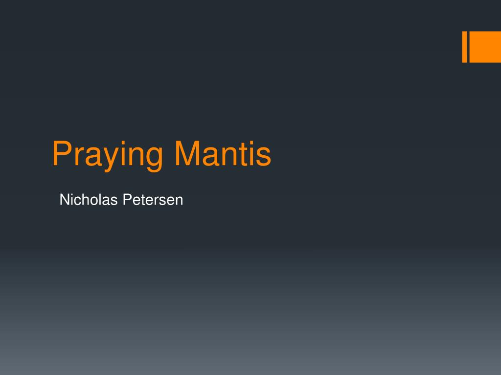 PPT - Praying Mantis PowerPoint Presentation, free download - ID:2038582