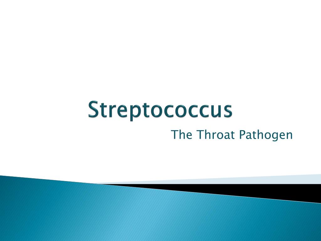 PPT - Streptococcus PowerPoint Presentation, free download - ID:2044327