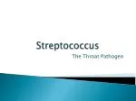 PPT - STREPTOCOCCUS PowerPoint Presentation, free download - ID:5596913
