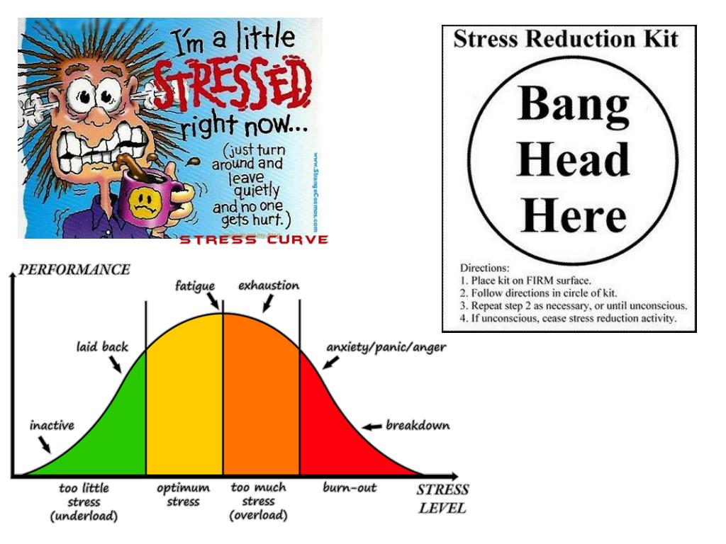PPT - Understanding Stress: Levels and Stages Explained PowerPoint ...
