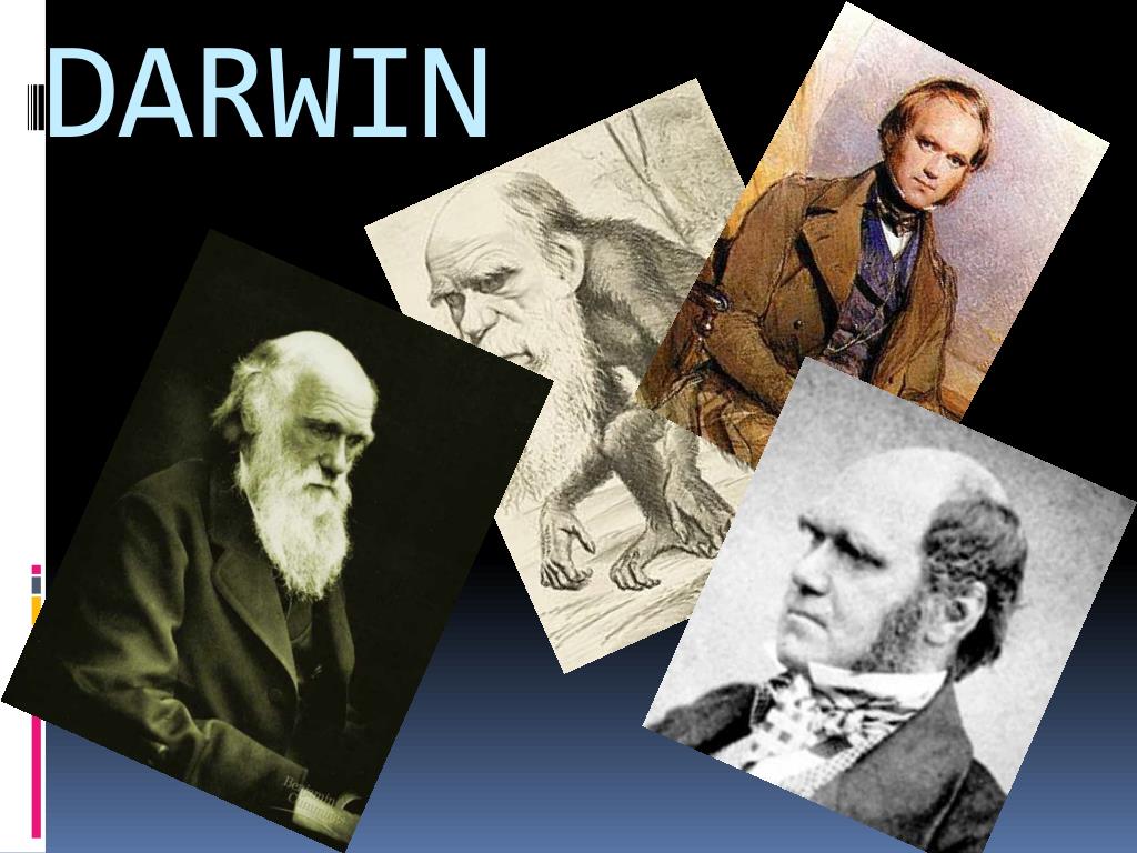 PPT - DARWIN PowerPoint Presentation, free download - ID:2044746