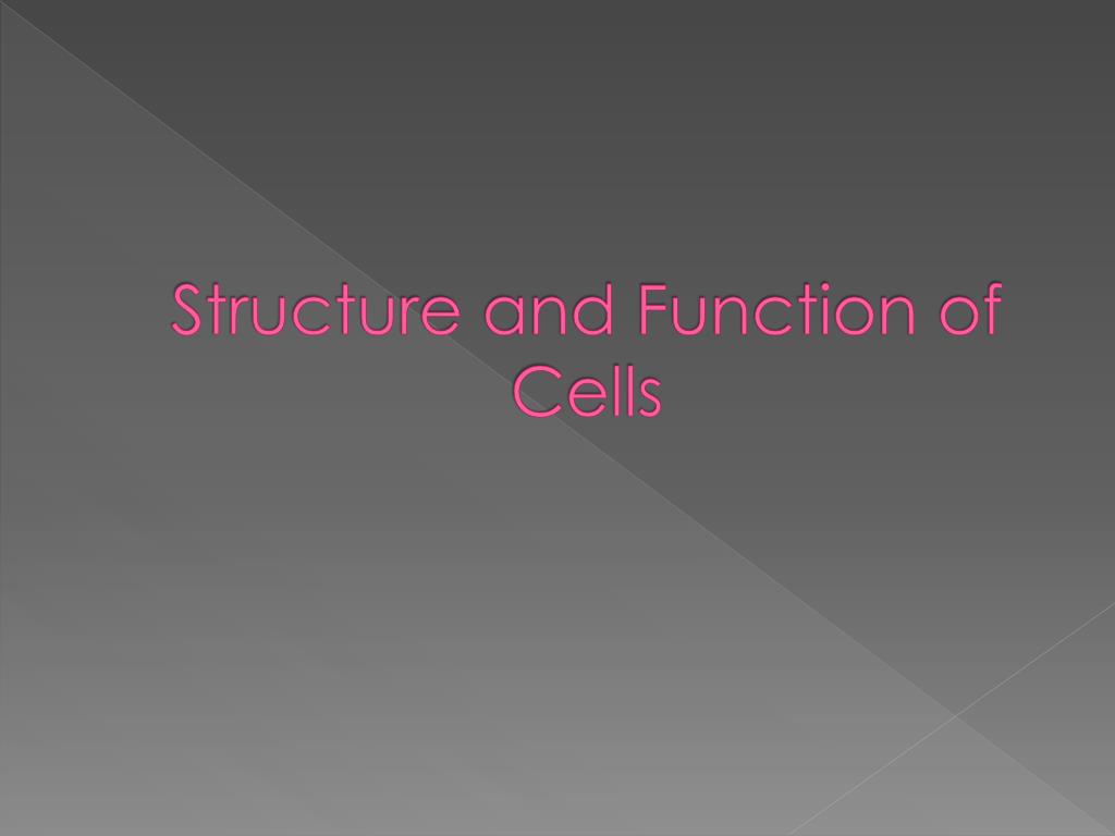 PPT - Structure and Function of Cells PowerPoint Presentation, free ...