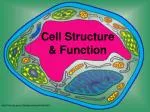 PPT - Bacterial Cell Structure and Function Part 2: cell envelope and ...