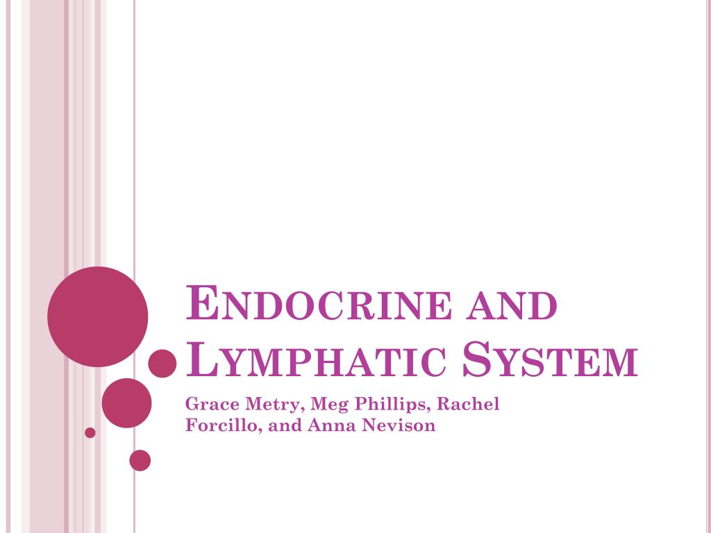 PPT - Endocrine and Lymphatic System PowerPoint Presentation, free ...
