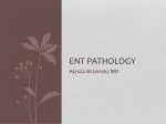 PPT - ENT PATHOLOGY LECT3 PowerPoint Presentation, free download - ID ...