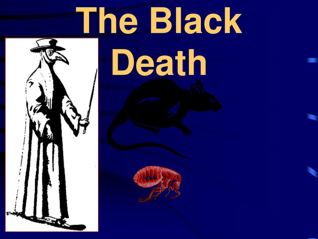 PPT - The Black Death PowerPoint Presentation, free download - ID:2046221