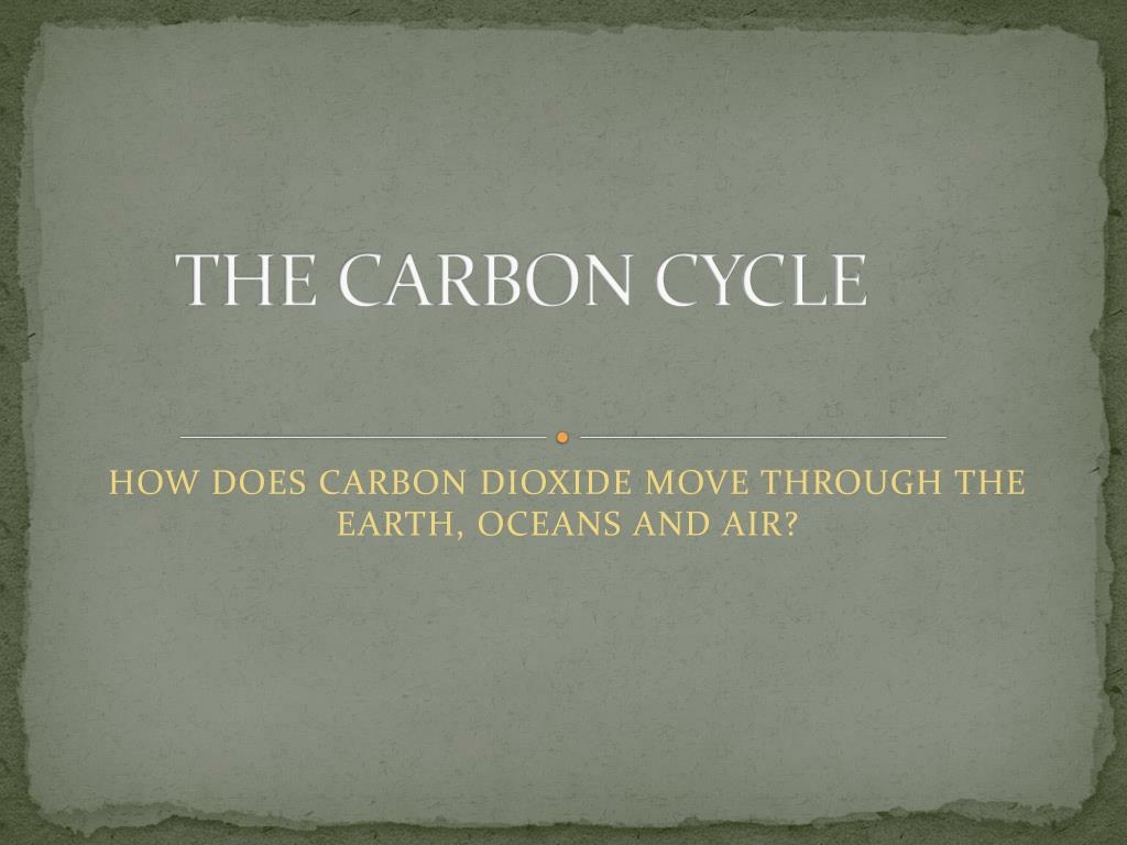 PPT - THE CARBON CYCLE PowerPoint Presentation, free download - ID:2046713
