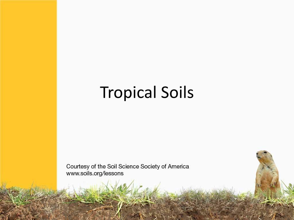 PPT - Tropical Soils PowerPoint Presentation, free download - ID:2046725