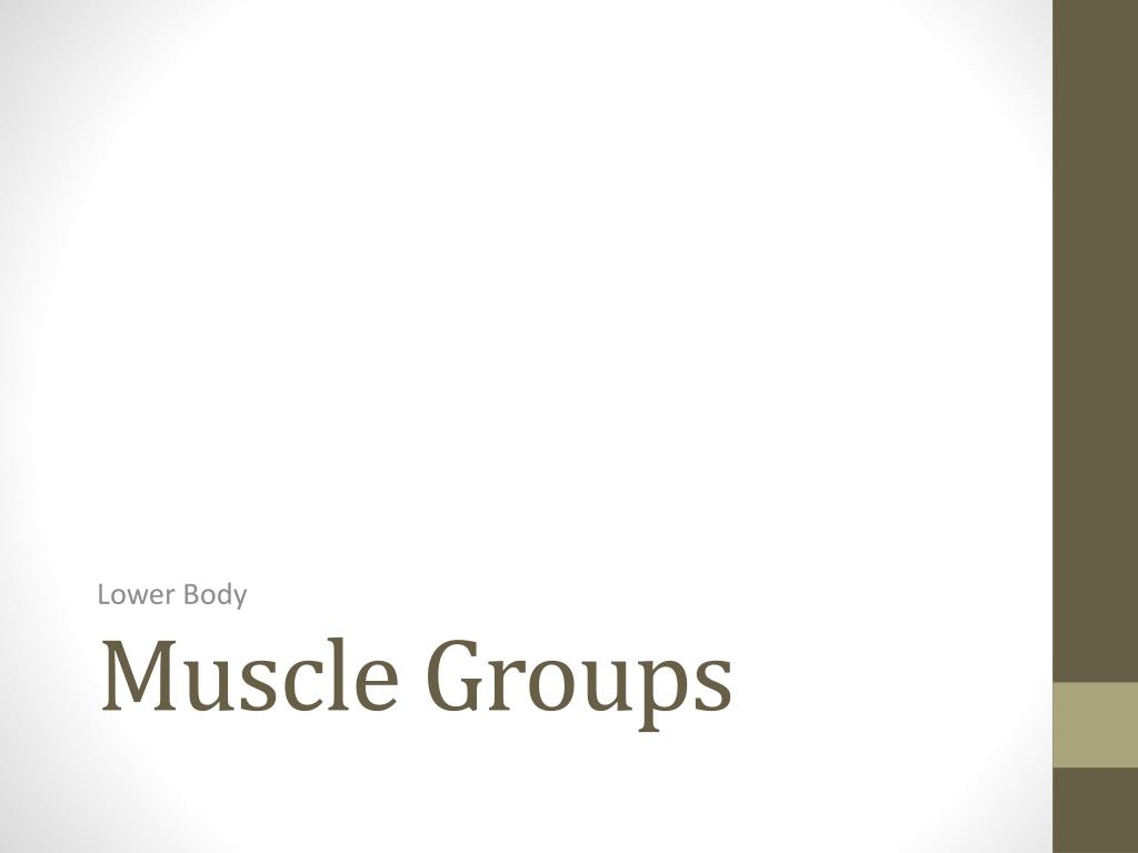 PPT - Muscle Groups PowerPoint Presentation, free download - ID:2047328