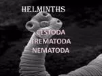 PPT - HELMINTHS PowerPoint Presentation, free download - ID:9411656