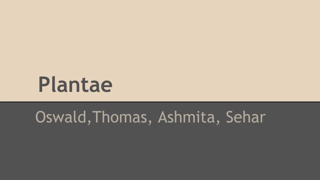 PPT - Plantae PowerPoint Presentation, free download - ID:2047454