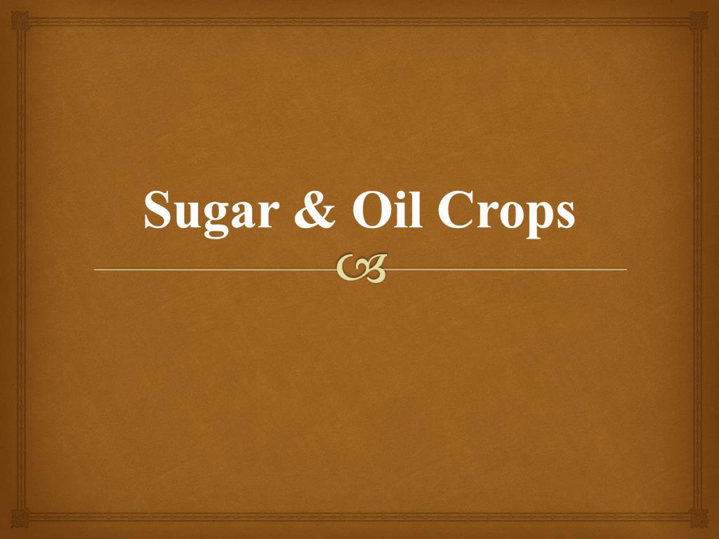 PPT - Sugar & Oil Crops PowerPoint Presentation, free download - ID:2048028