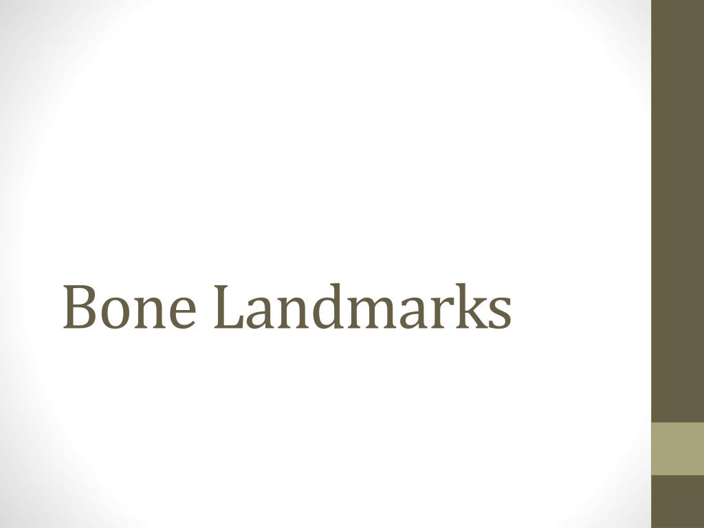 PPT - Bone Landmarks PowerPoint Presentation, free download - ID:2049947