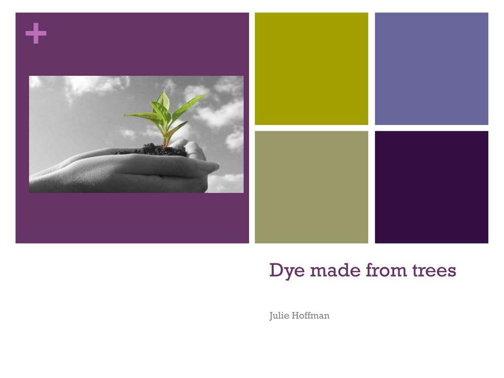 PPT - Dye made from trees PowerPoint Presentation, free download - ID ...