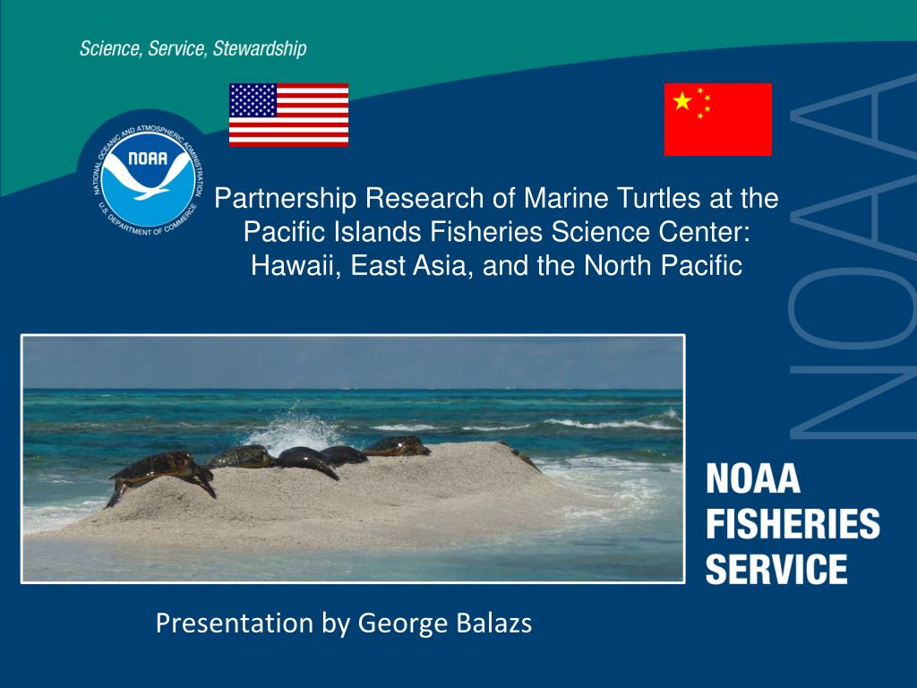 PPT - Presentation by George Balazs PowerPoint Presentation, free ...