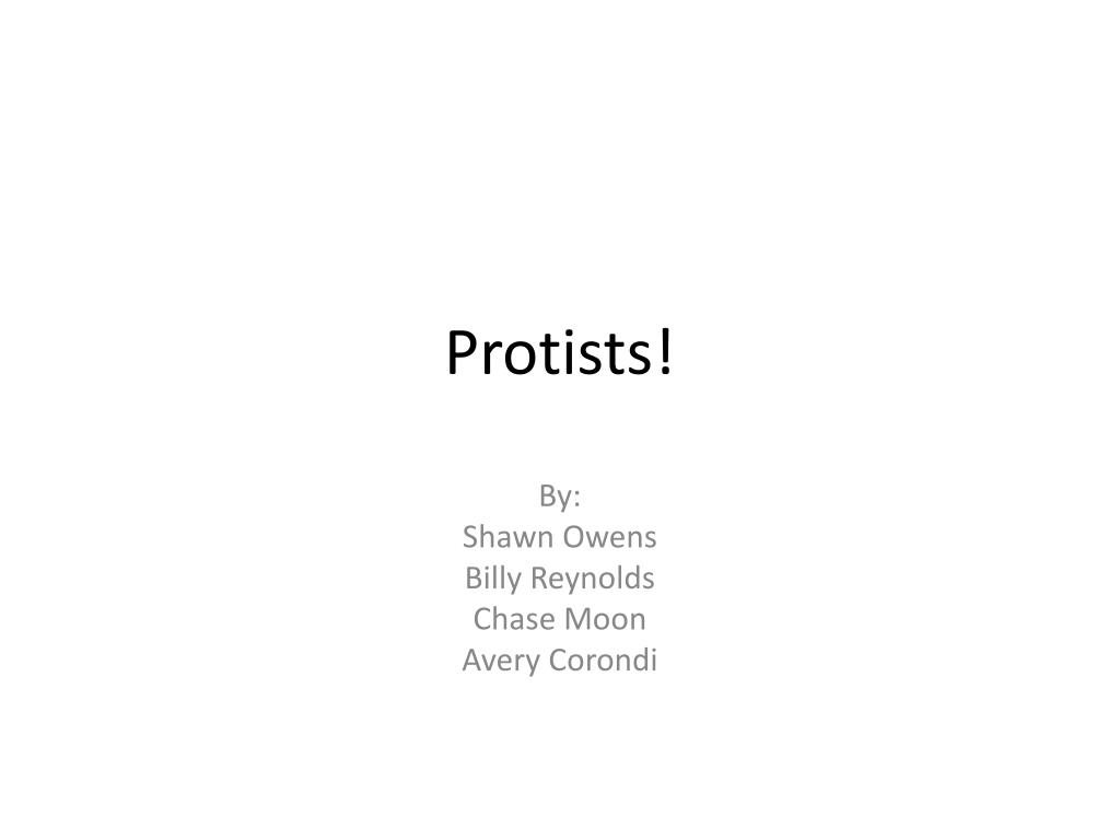 Ppt Protists Powerpoint Presentation Free Download Id 2051236