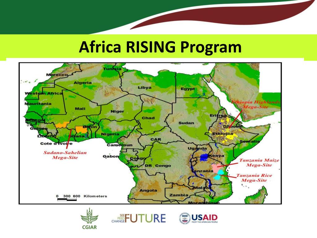PPT - Africa RISING Program PowerPoint Presentation, free download - ID ...